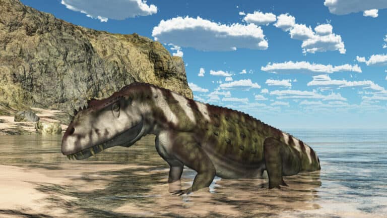 Are Alligators Dinosaurs? The Truth About These Ancient Reptiles